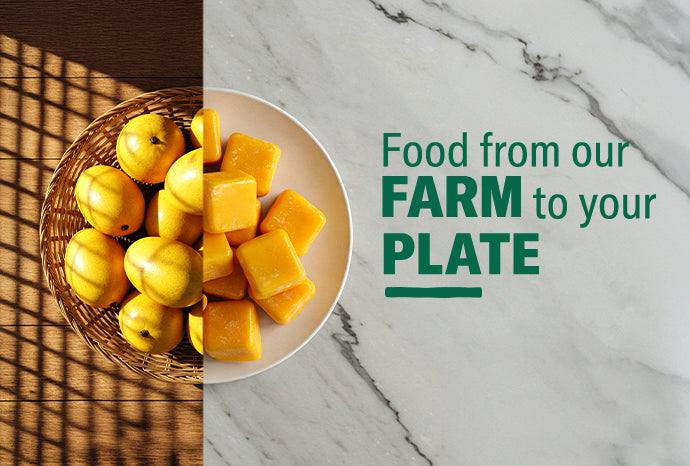From Our Farm to Your Plate: Why Traceable Food Matters Now More Than ...